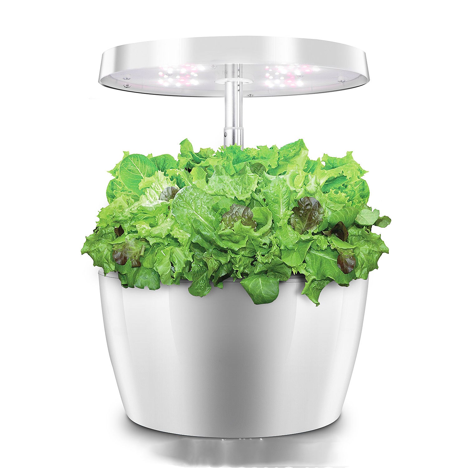 Cannabis growth machine – CanUgrower